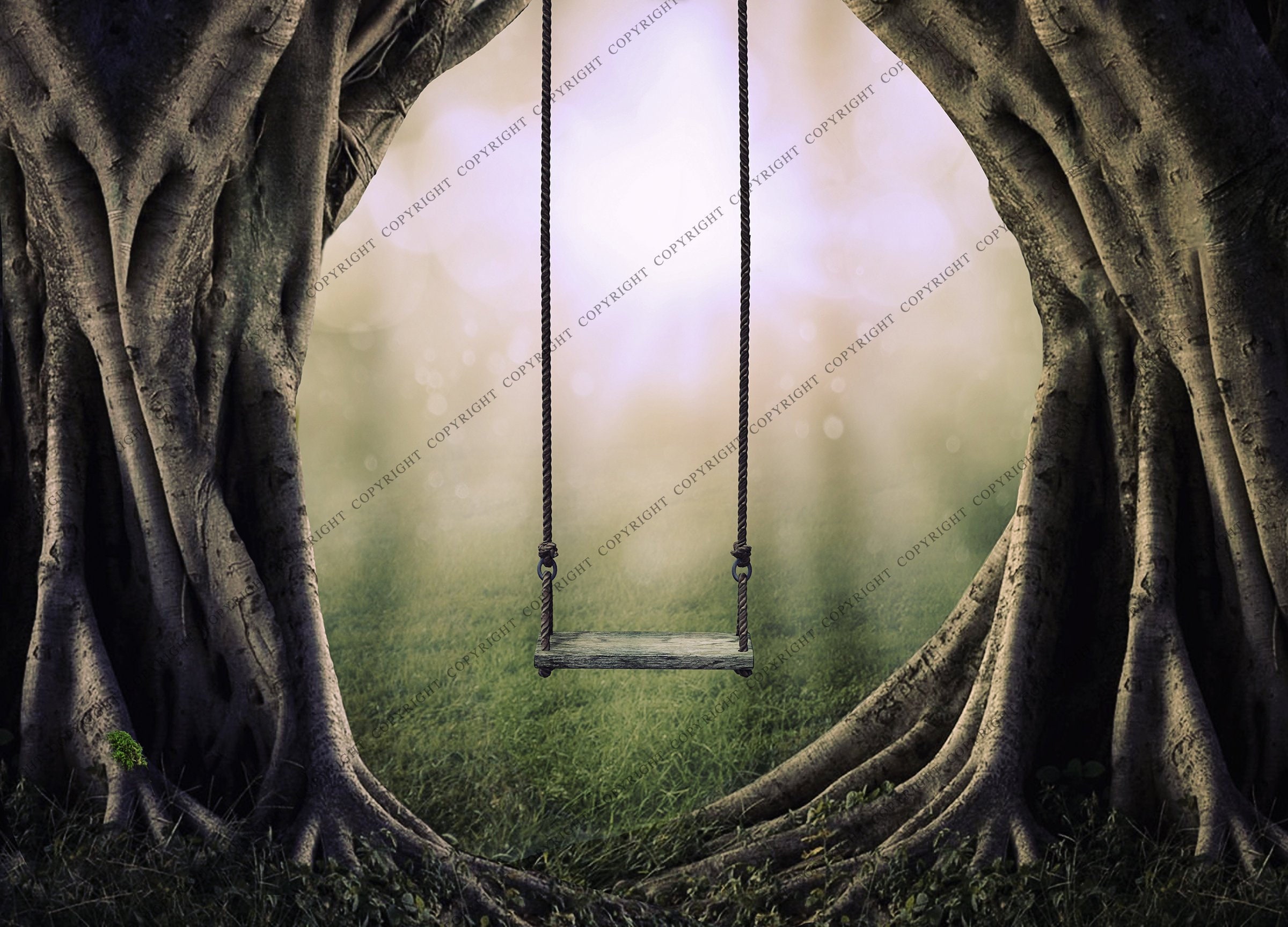 Magical Backdrop Background / Digital Backgrounds for Photographers ...