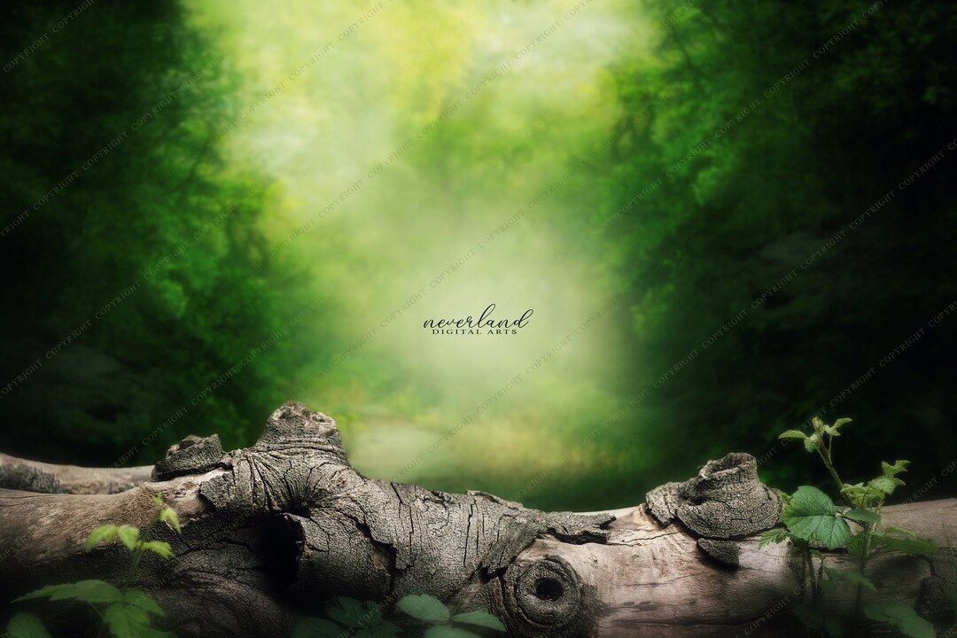 Log in the Forest Background for Photography Compositions / Backdrop ...