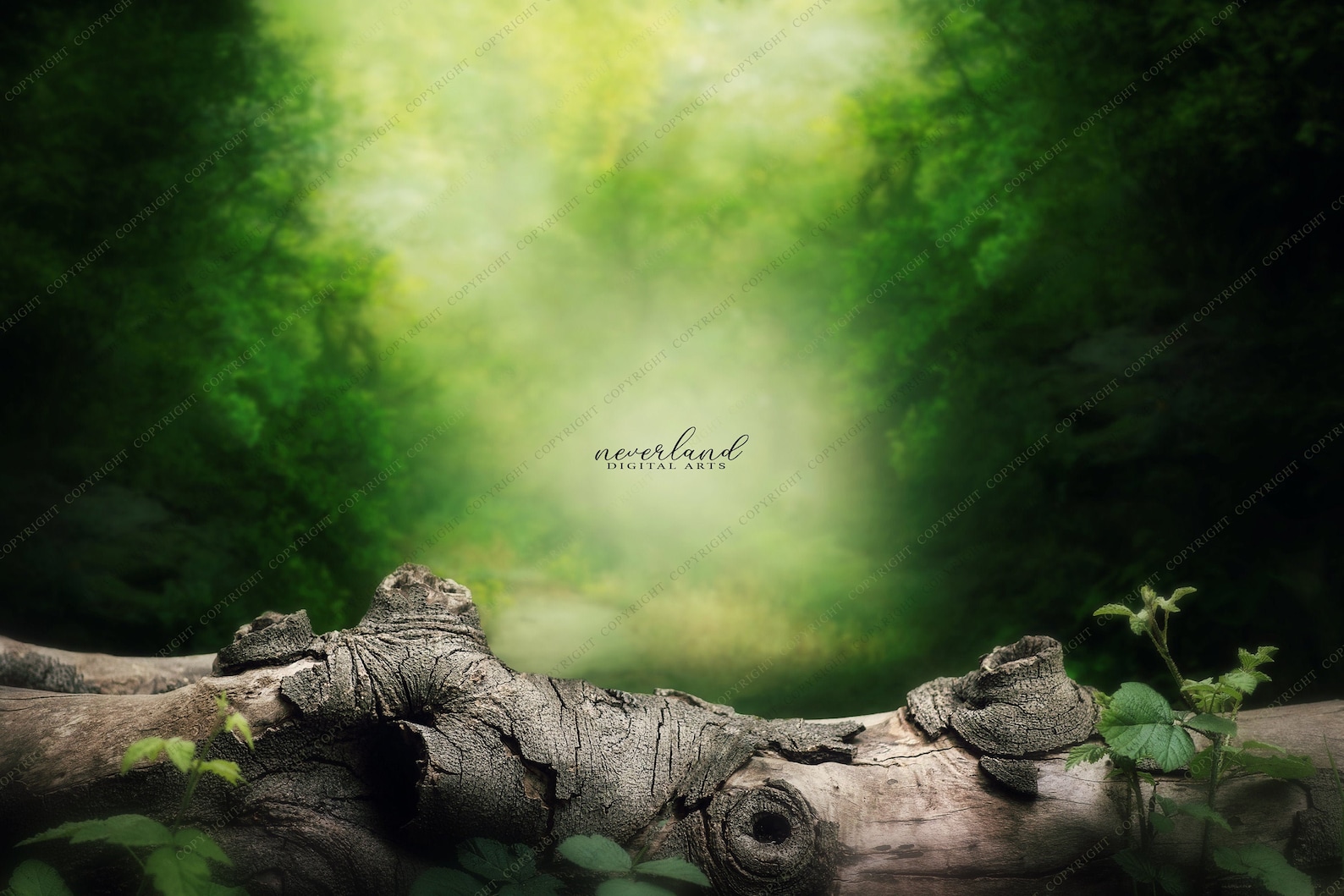 Log in the Forest Background for Photography Compositions / Backdrop ...