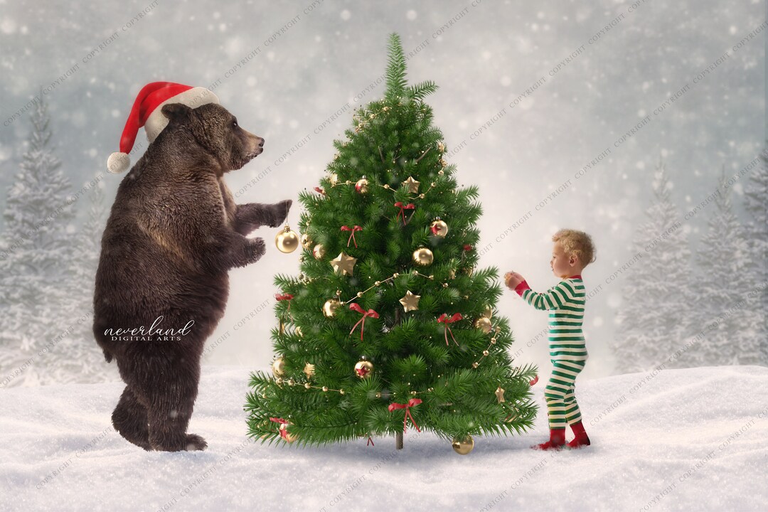 2 PACK Christmas Bear Winter Background for Photography Composites ...