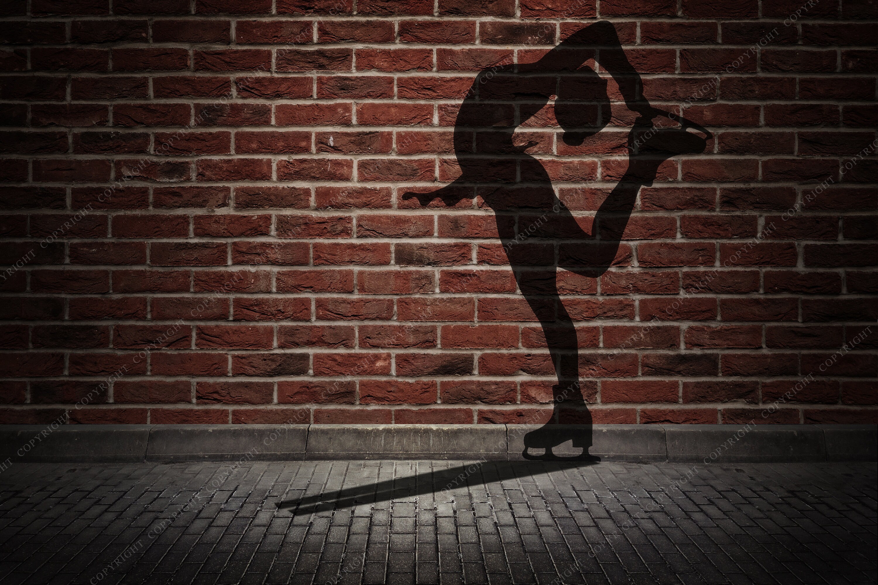 Skate Shadow Background for Photographers / Instant Digital Download ...
