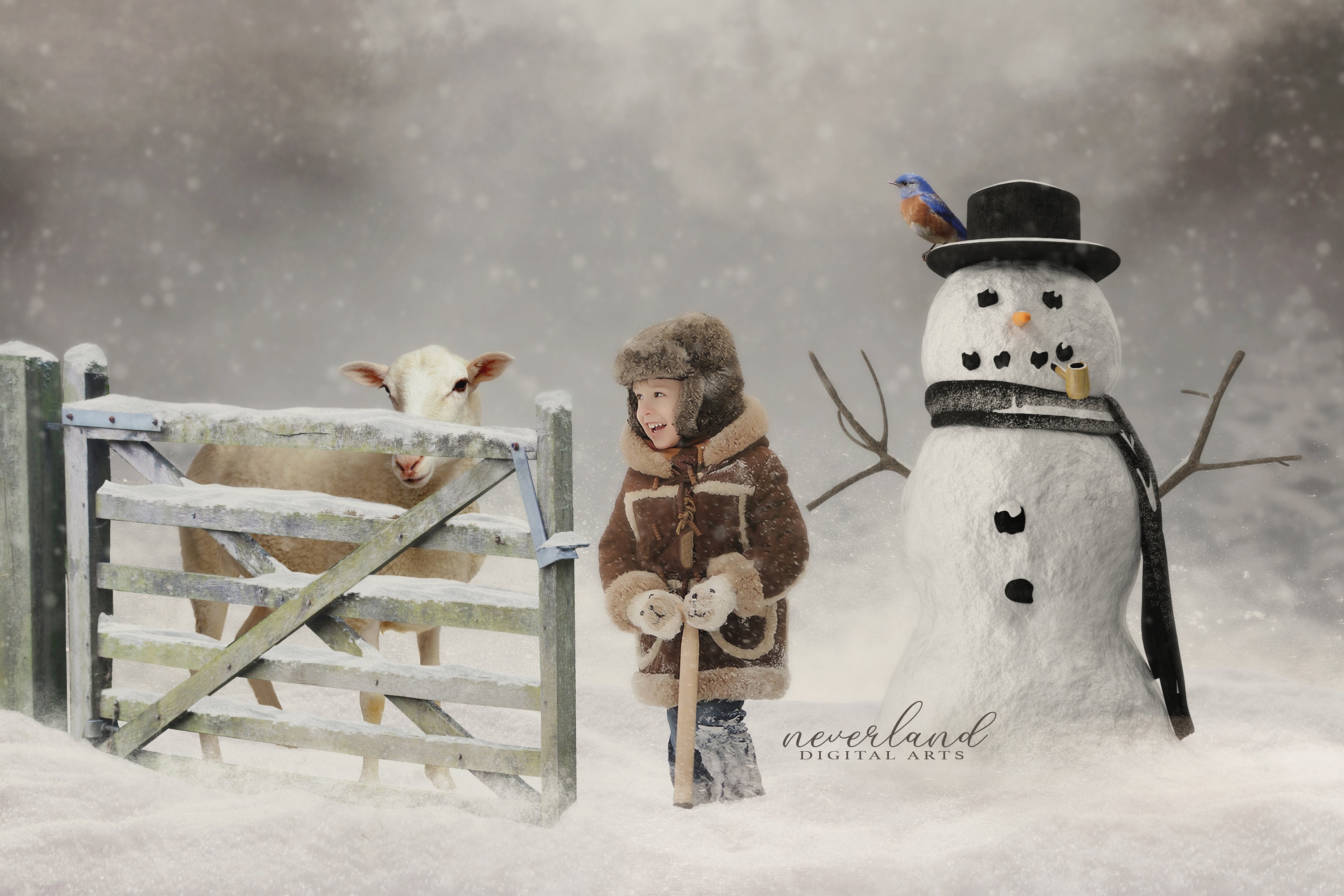 Country Christmas Background for Photographers / Sheep Background for ...
