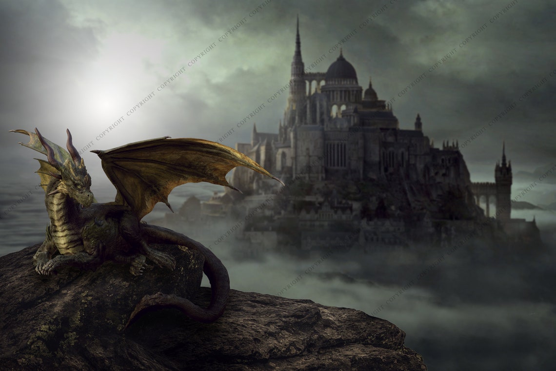 5 PACK Friendly Dragon Background for Photographers / Digital ...