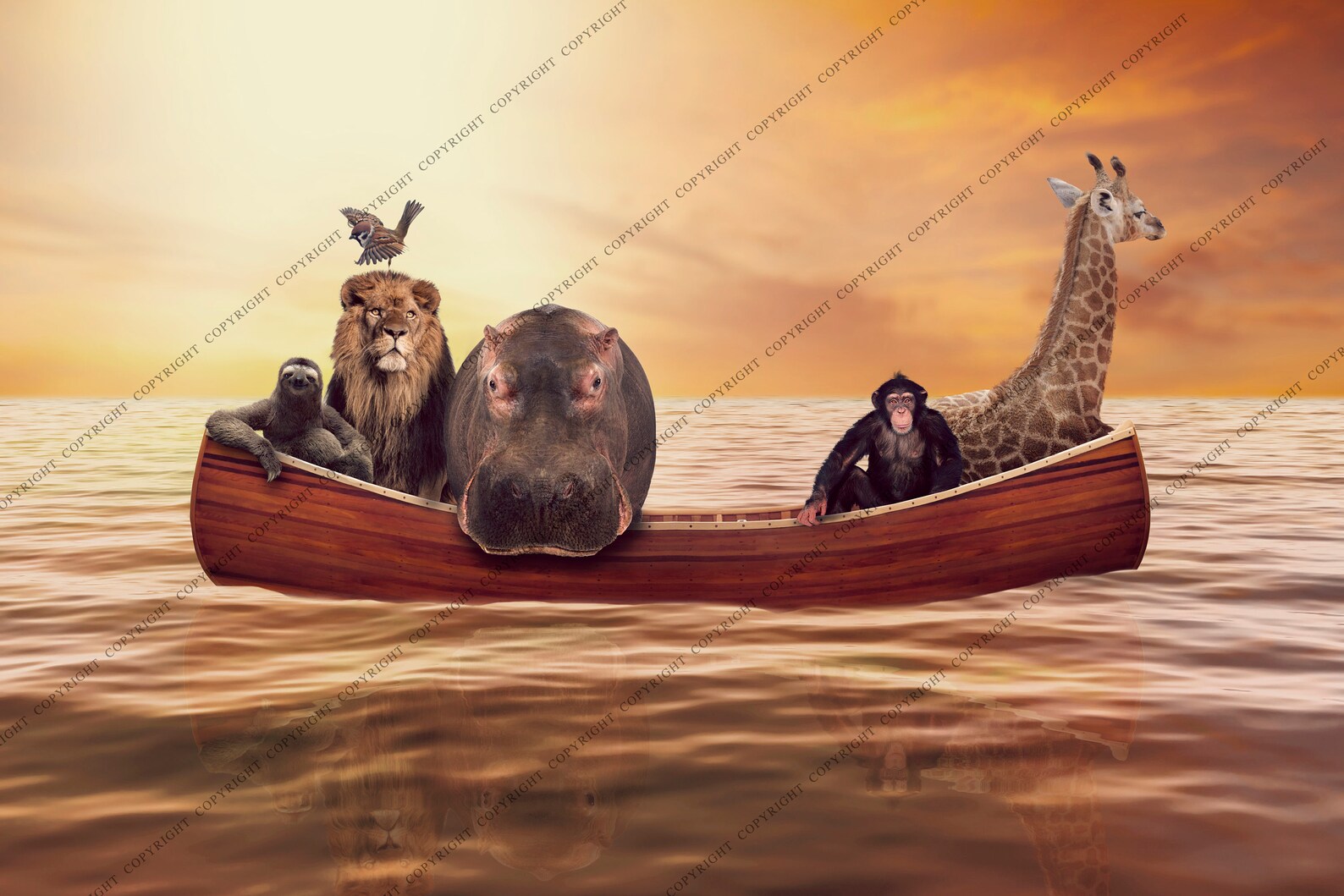 Noahs Ark Backdrop Digital Background for Photographers / Fantasy ...