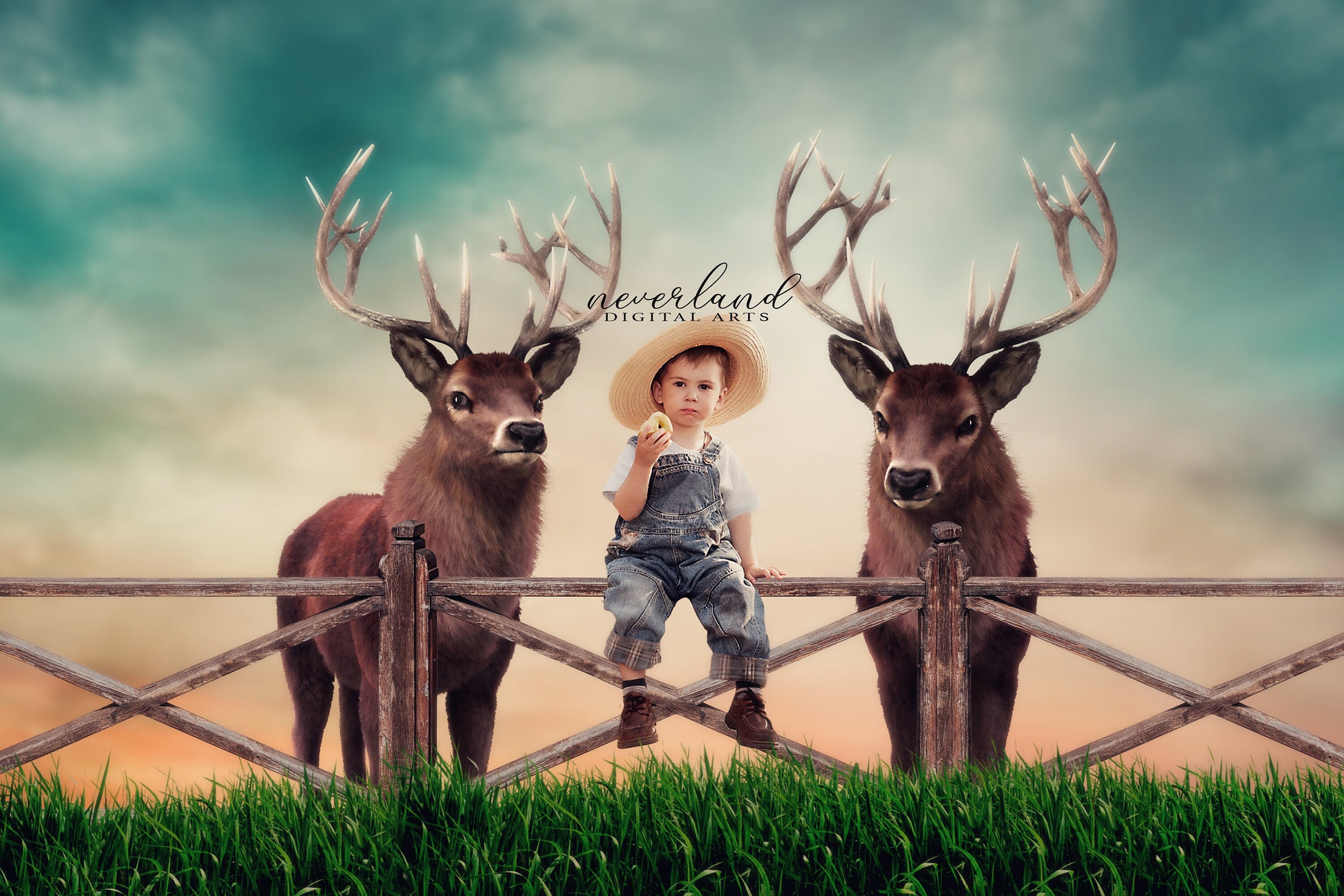 Deer Friends Background / Photography Background / Digital Background ...