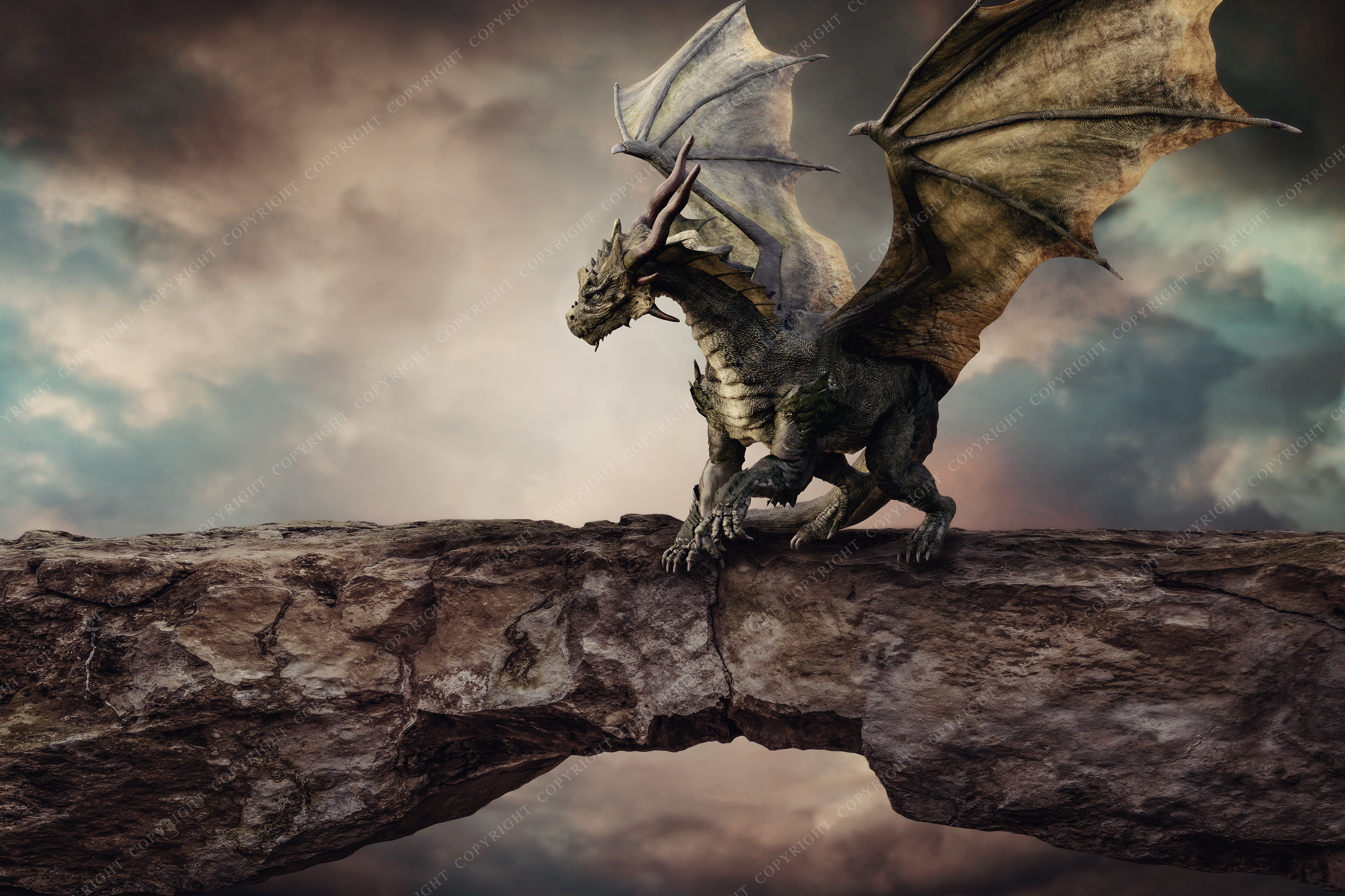 Dragons Bridge Background for Photographers / Dragon | Etsy