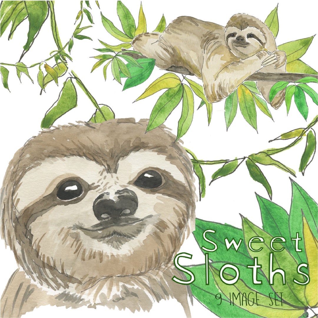 Sweet Sloths - 9 Image Set - Etsy
