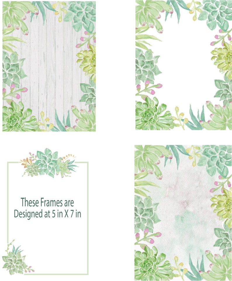 Hand Painted Succulent Borders and Accents - 7 Image Clip Art Set ...