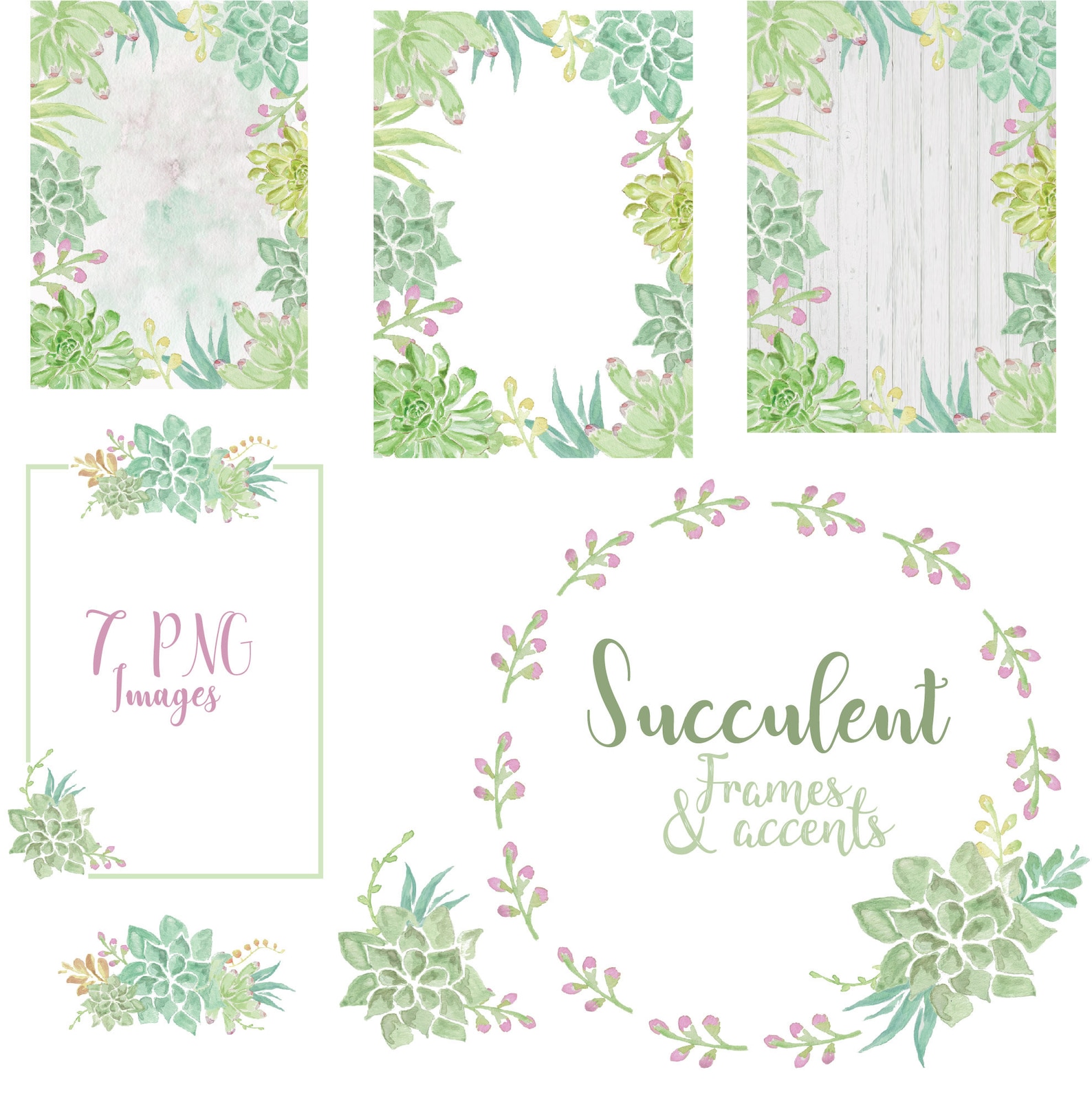 Hand Painted Succulent Borders and Accents - 7 Image Clip Art Set - Etsy