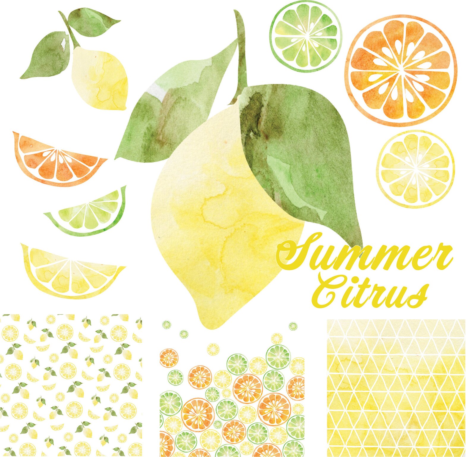 Summer Citrus Clip Art Set - 11 Image Set - Etsy