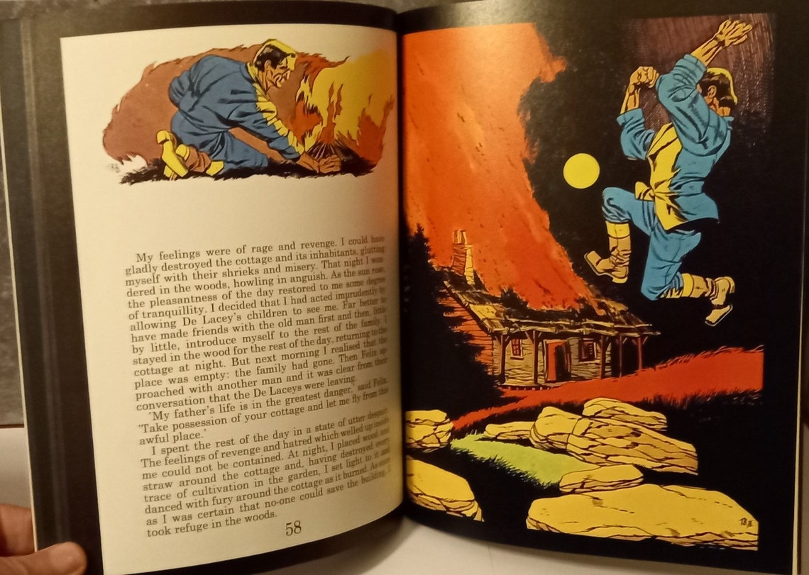 Frankenstein by Mary Shelley Abridged Version Illustrated by Tom ...