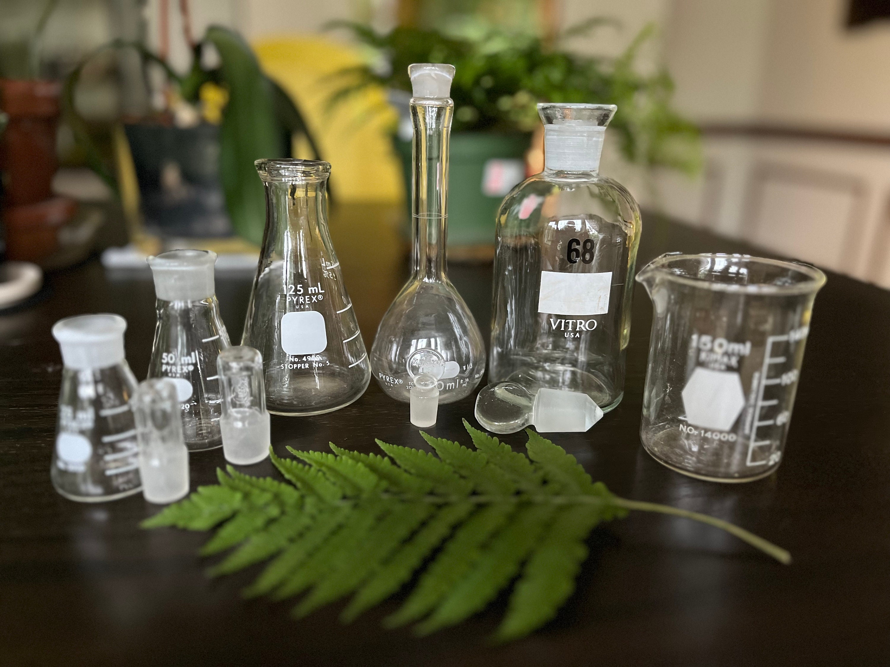 Vintage Science Lab Beakers and Bottles: Variety of 7 Small - Etsy