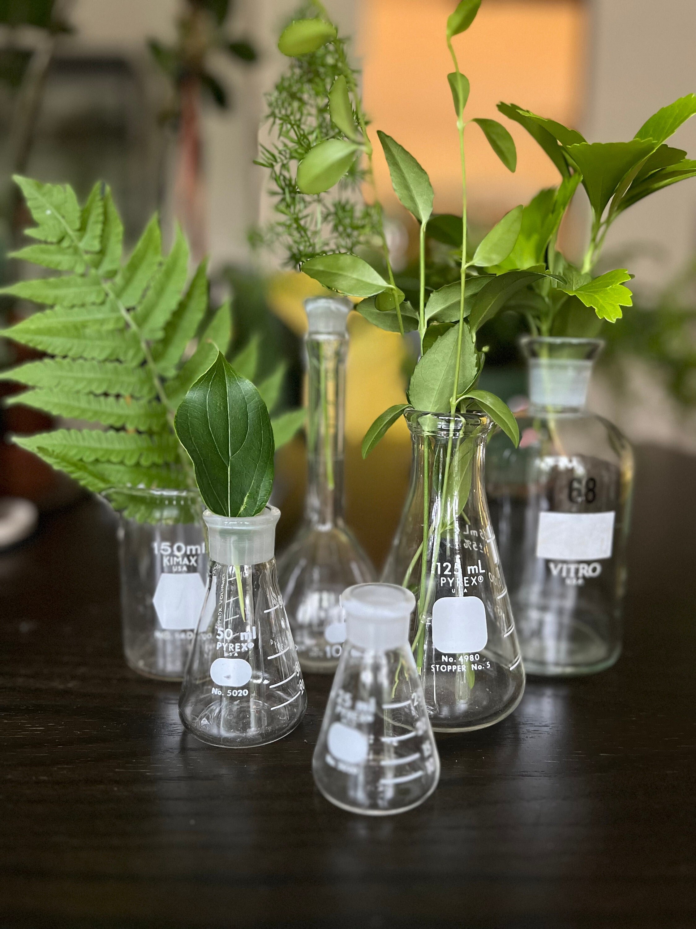 Vintage Science Lab Beakers and Bottles: Variety of 7 Small - Etsy