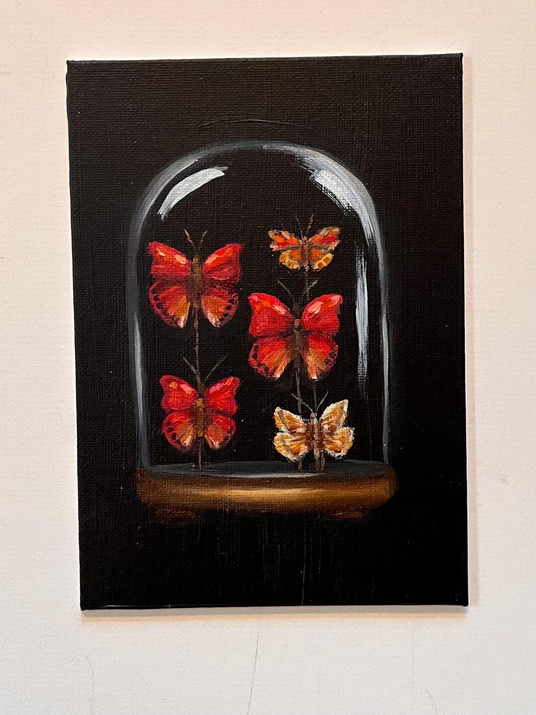Oil Portrait of Glass Dome of Pinned Red Butterflies on Black, 5x7 - Etsy