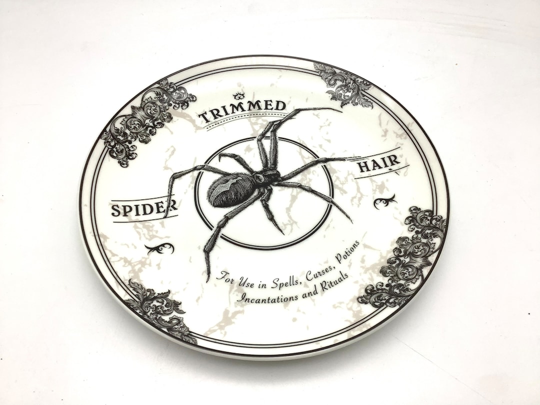 Plate Trimmed Spider Hair for Spells Curses Potions and Rituals. Salad ...