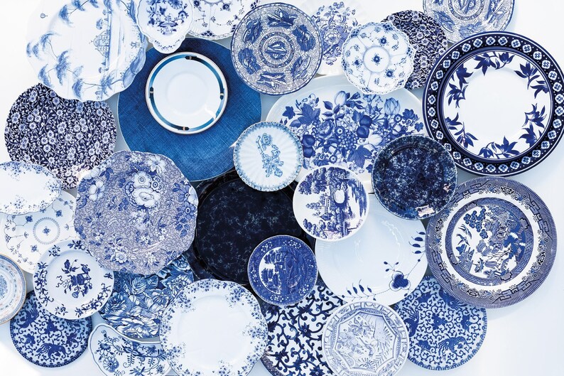 Blue and White Dinner Plates Mismatched China Porcelain Dishes New ...