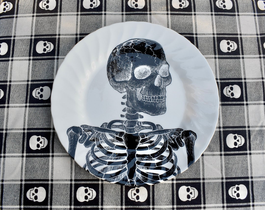 Skull Plate Skeleton Xray. Fine Bone China Dish. Royal Wessex Imported ...