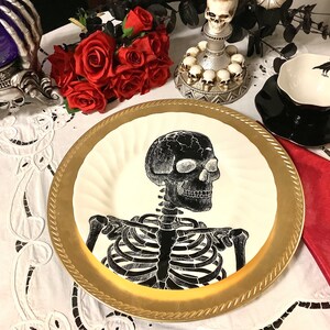 Skull Plate Skeleton Xray. Fine Bone China Dish. Royal Wessex Imported ...