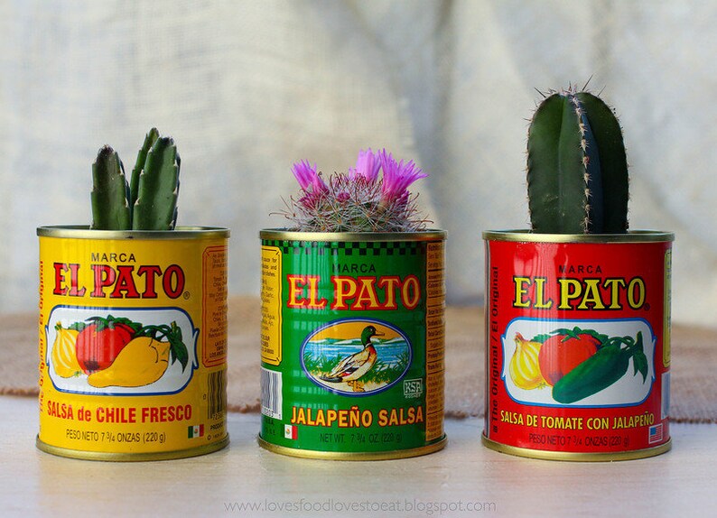 El Pato Place Settings Escort Cards Small Mexican Cans. Mexican Fiesta ...