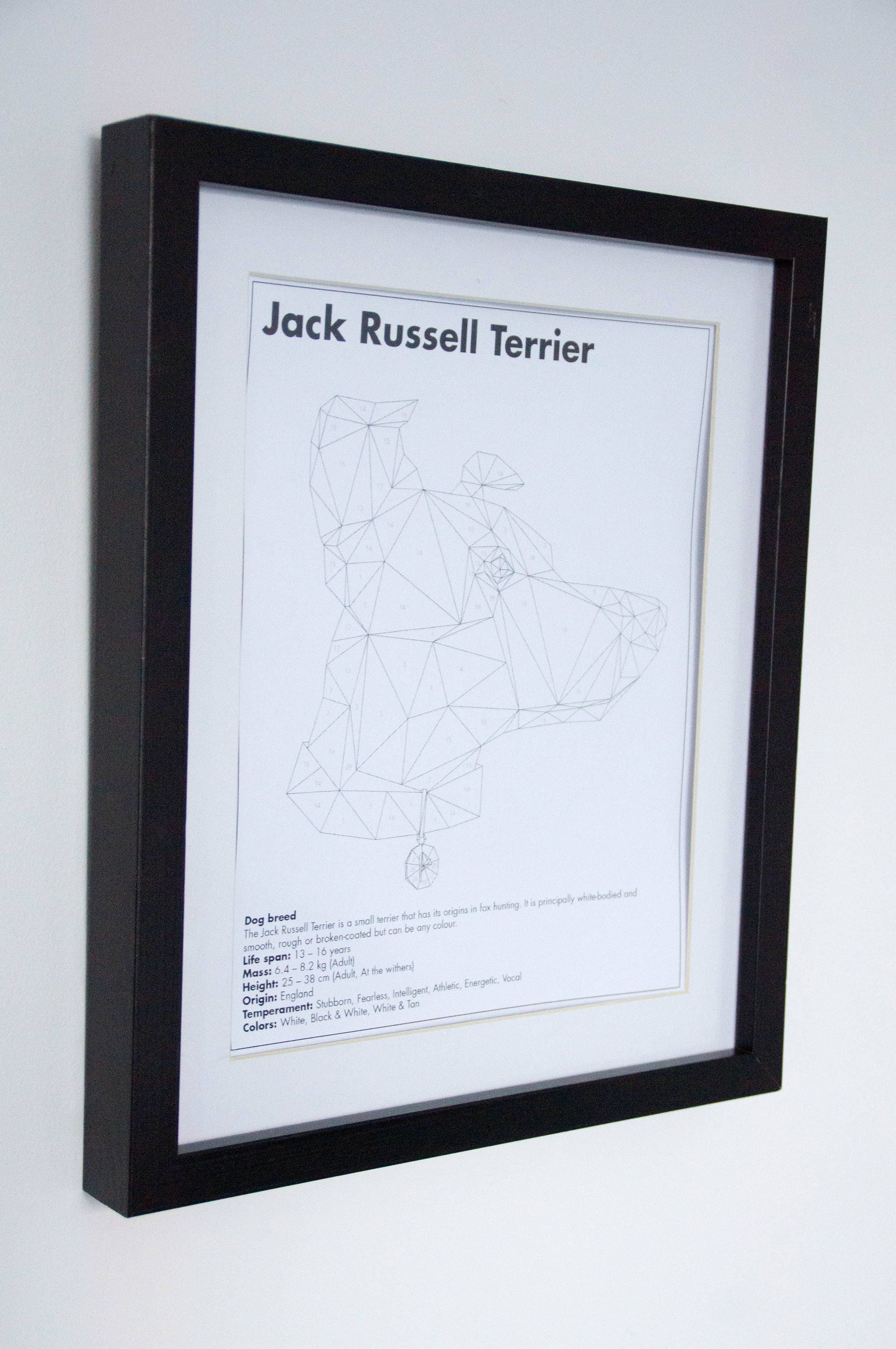 Jack Russell Wall Art Jack Russell Print Art Work Instant - Etsy