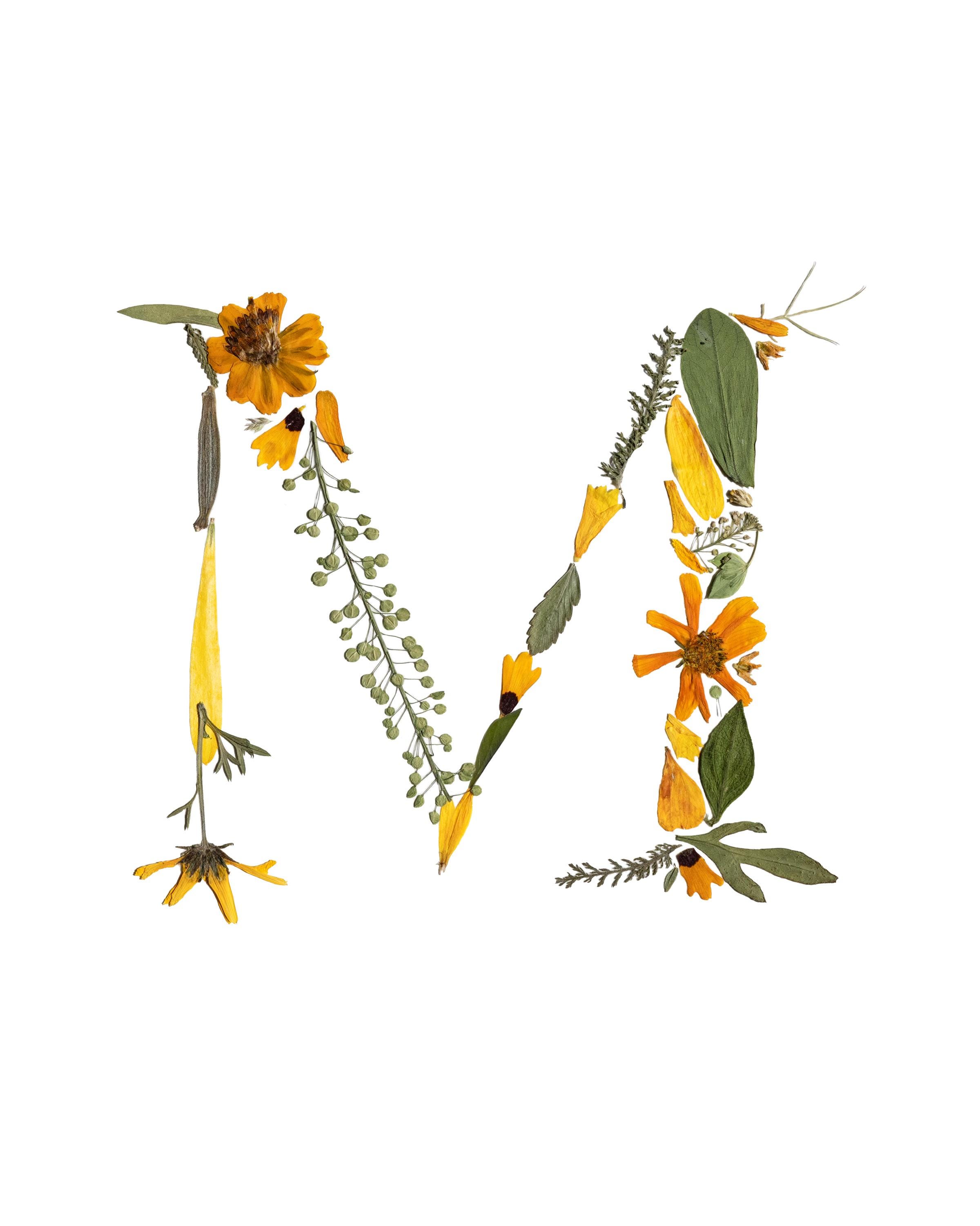 Letter M Pressed Flower Art PRINT | 8x10 Giclee Print on Fine Art Paper ...
