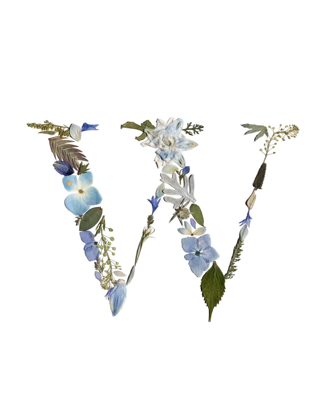 Letter W Pressed Flower Art PRINT | 8x10 Giclee Print on Fine Art Paper ...