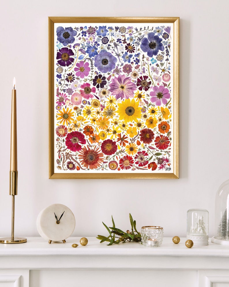 Rainbow Pressed Flower Art Print | 8x10 Giclee Print on Fine Art Paper ...
