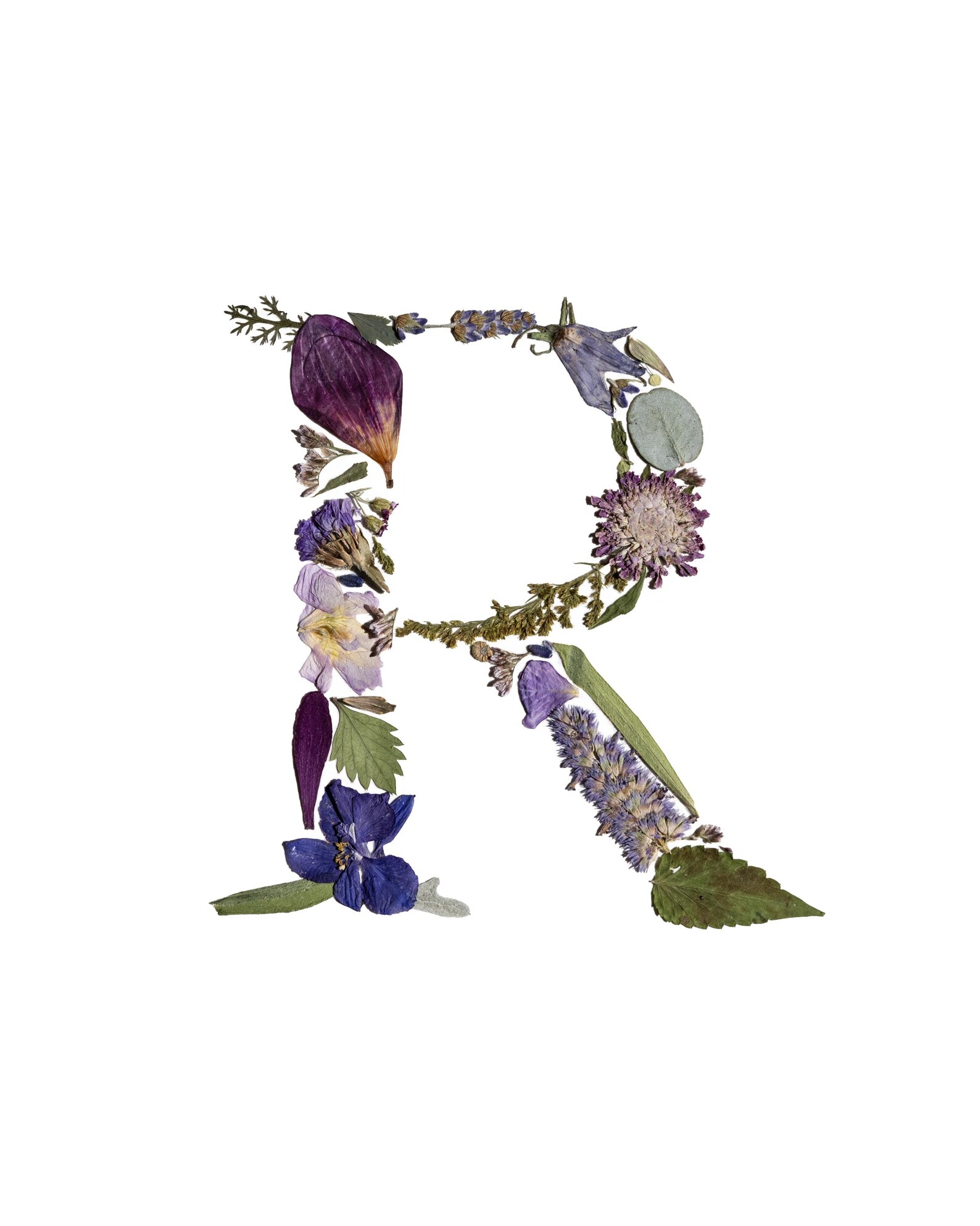 Letter R Pressed Flower Art PRINT | 8x10 Giclee Print on Fine Art Paper ...