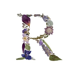 Letter R Pressed Flower Art PRINT | 8x10 Giclee Print on Fine Art Paper ...