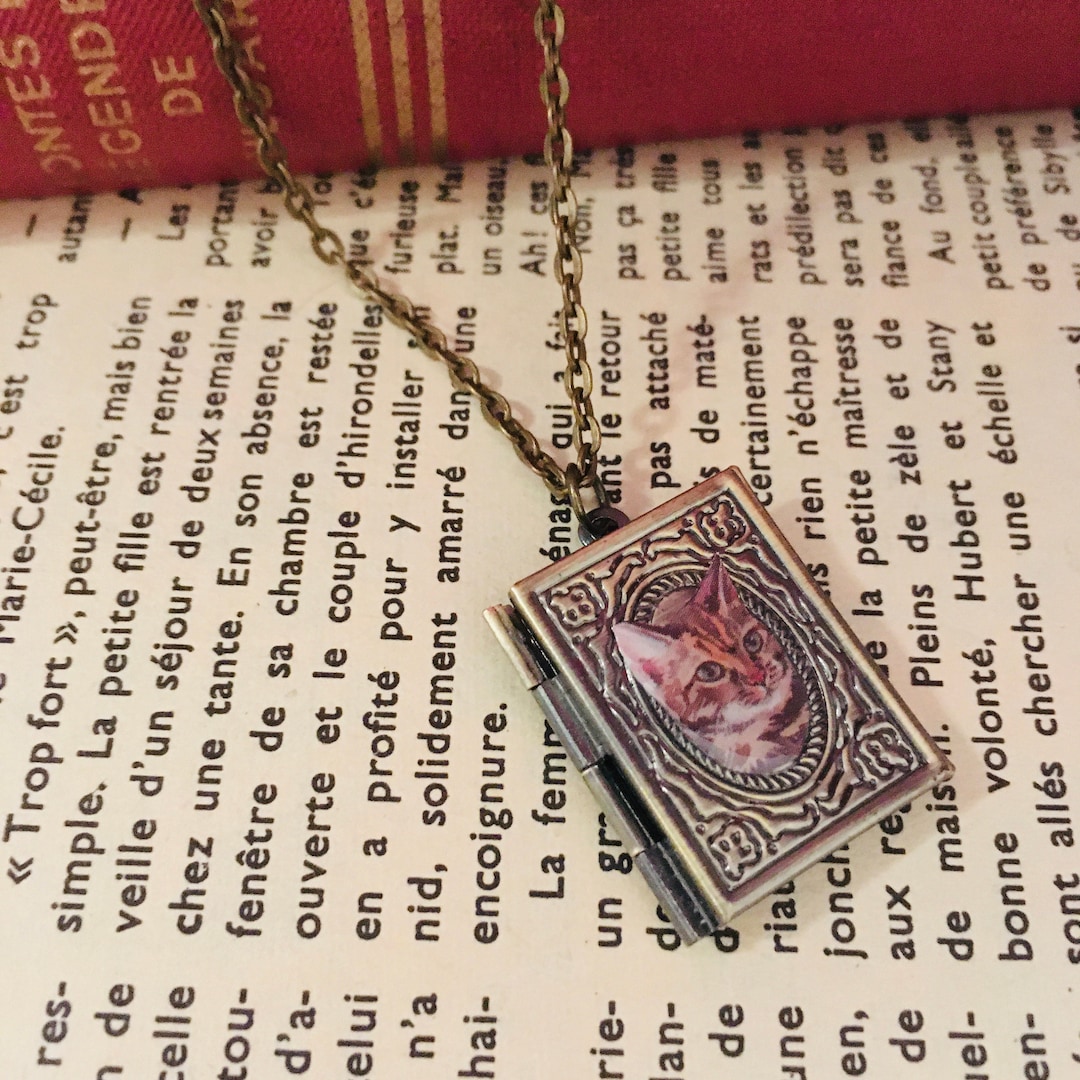 Bronze Book-shaped Locket Pendant With Cat Portrait, Victorian Vintage ...