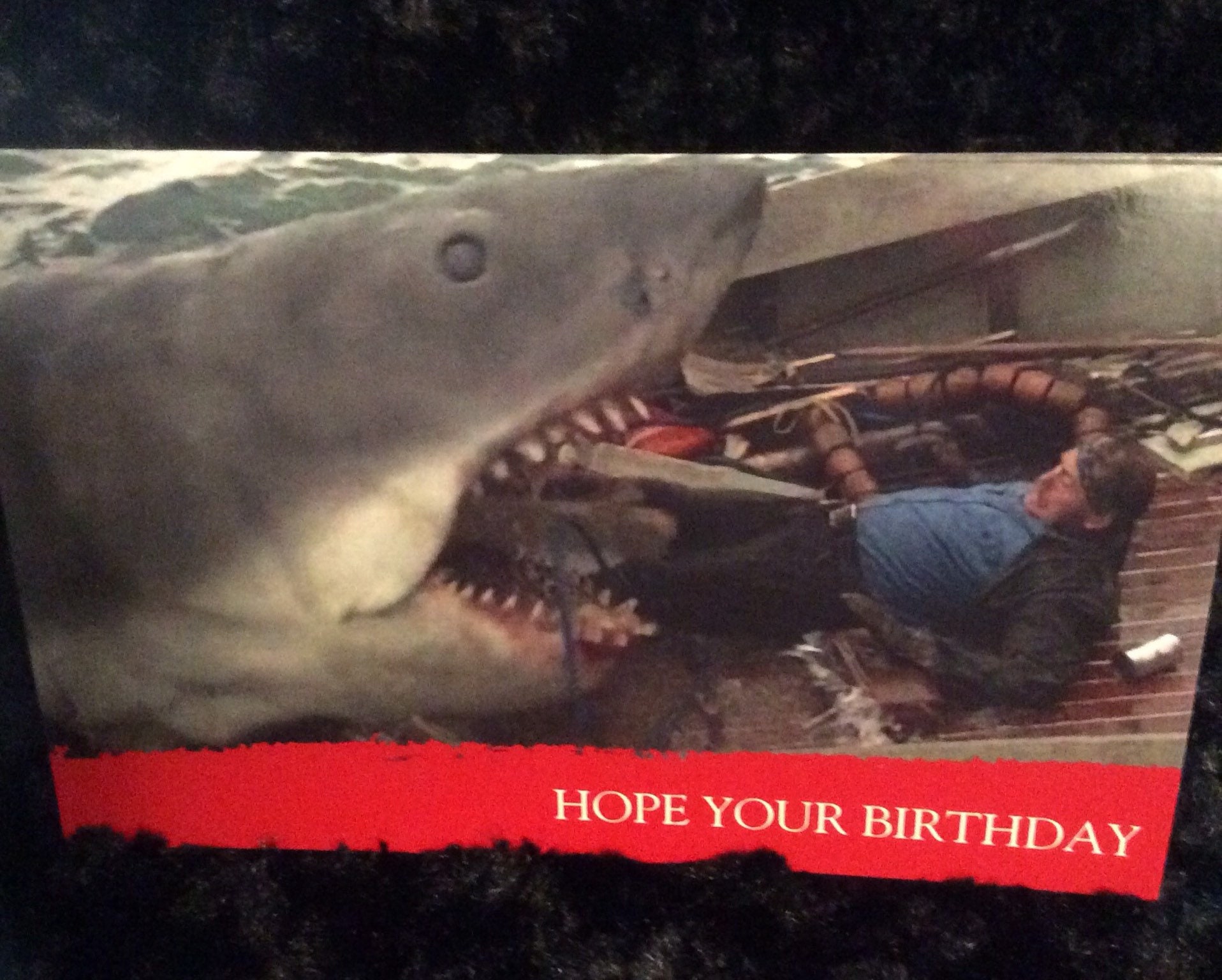 Happy Birthday Jaws