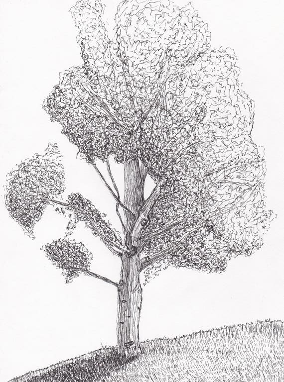 Pen and Ink Tree Drawing Print | Etsy