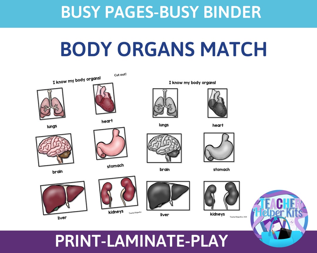 Match the Body Parts Worksheet, Anatomy Game, Educational Preschool ...