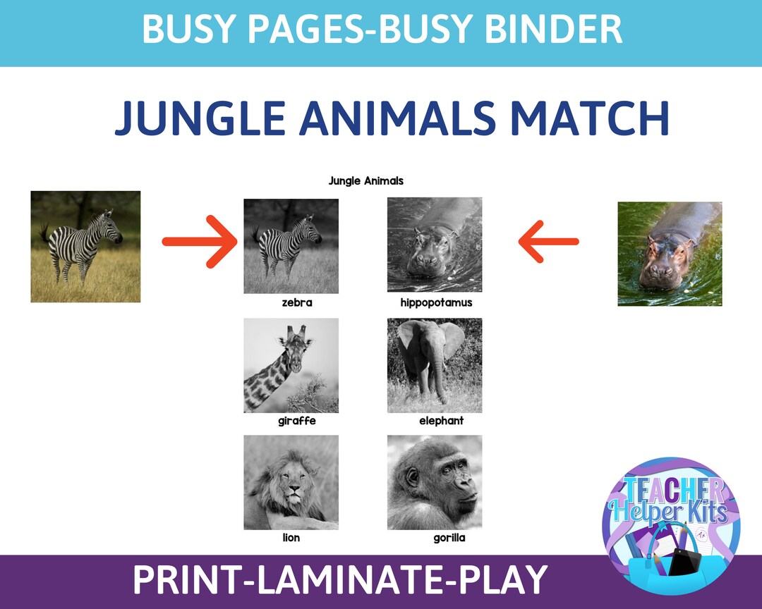 Match the Zoo Animals Worksheet, Animal Matching Game, Educational ...
