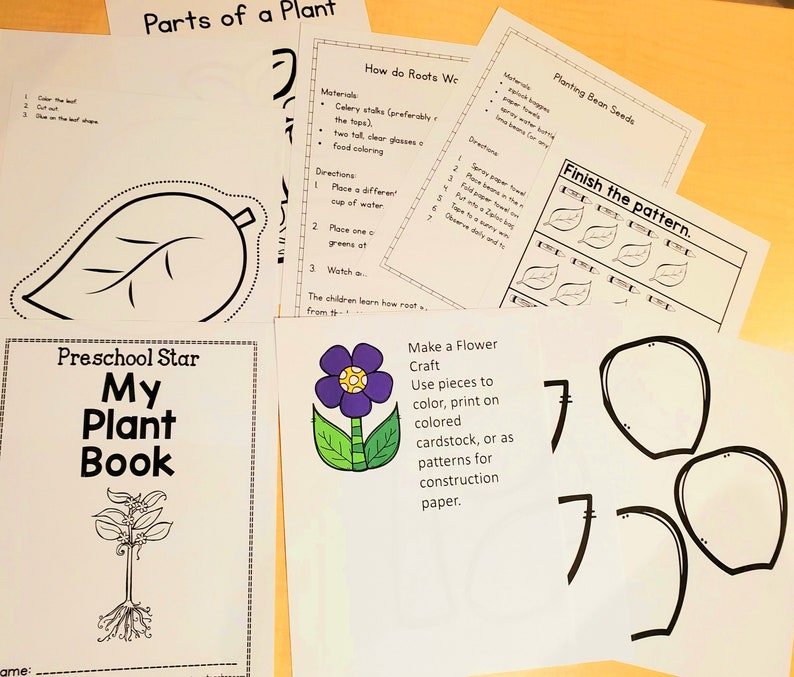 Plants Preschool Printables~nature Study, Botany Lesson, Preschool ...