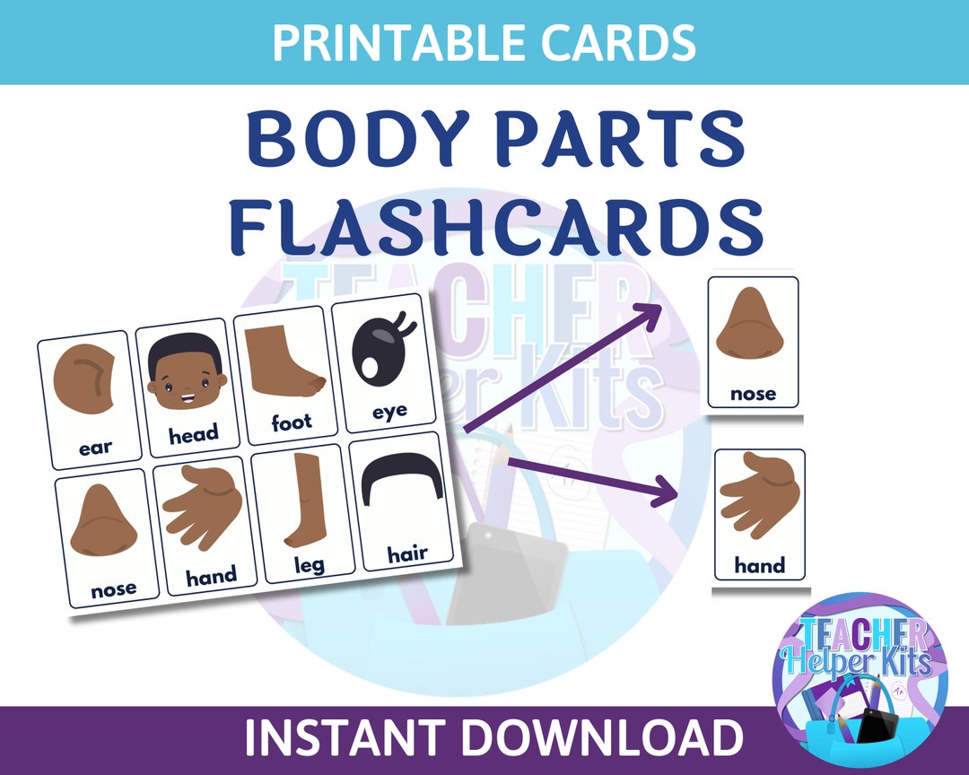 Body Parts Flash Card-body Parts-my Body Parts Poster, All About Me ...