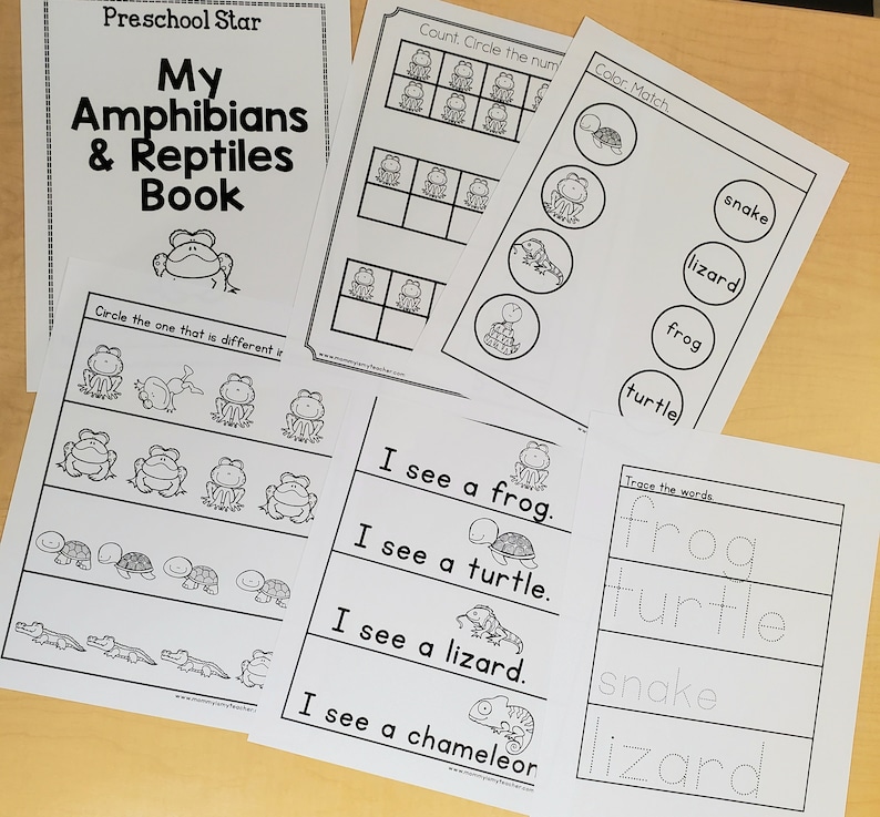 Amphibian & Reptiles Preschool Printablespreschool Curriculum Learning ...