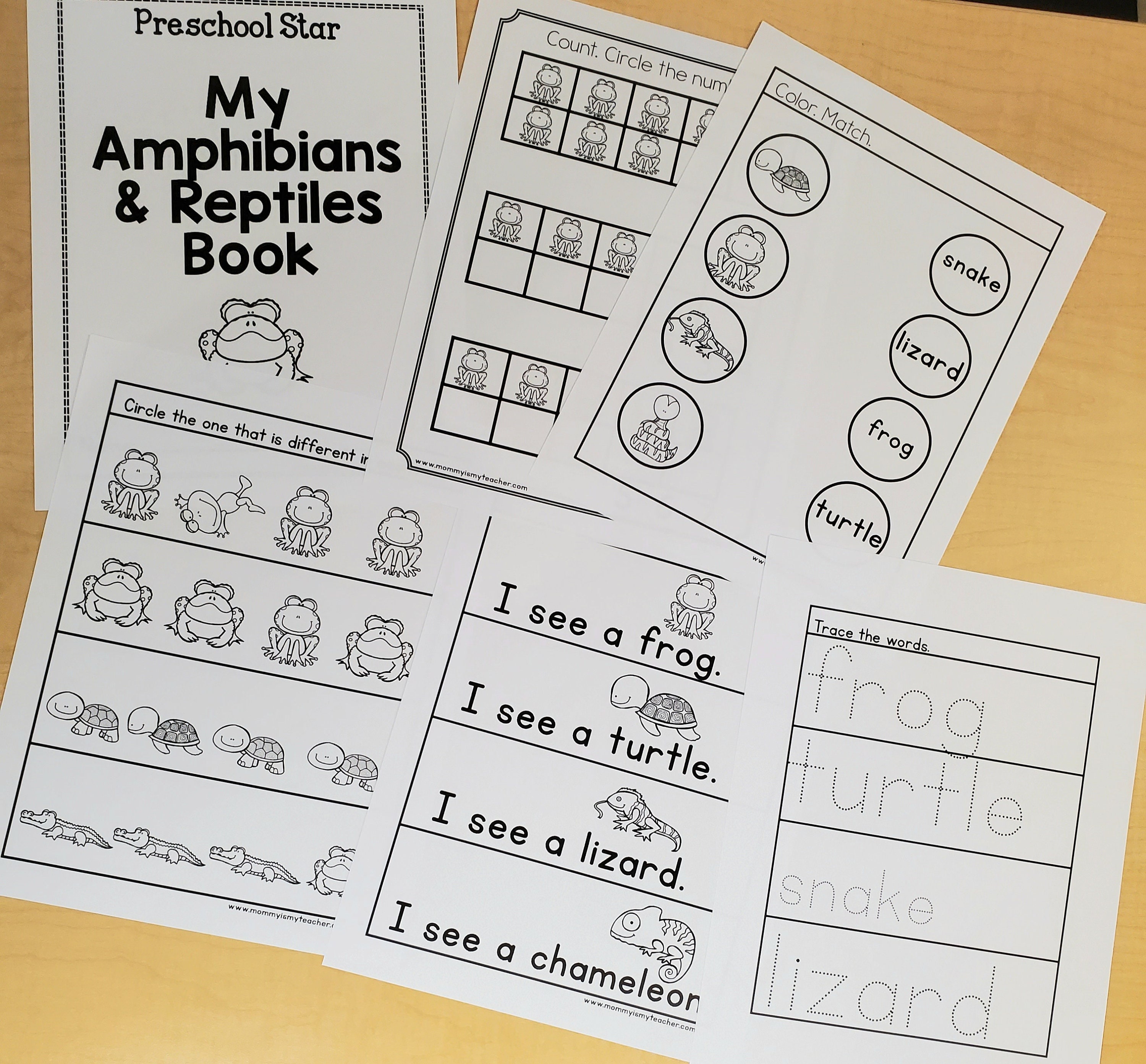 Amphibian & Reptiles Preschool Printables~preschool Curriculum Learning ...