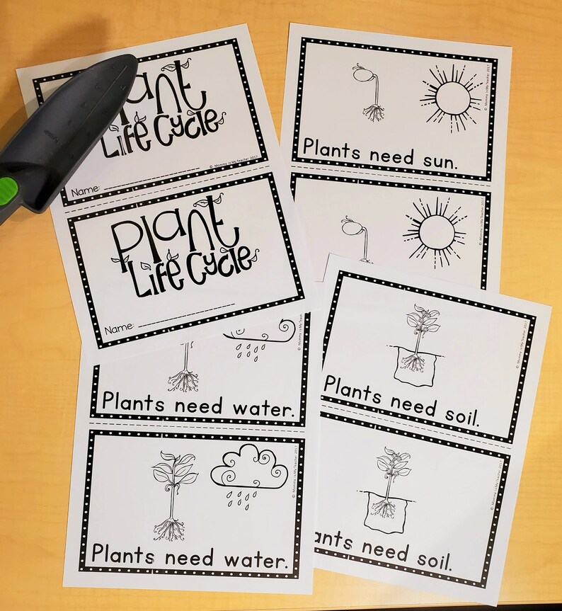 Plants Preschool Printables~nature Study, Botany Lesson, Preschool ...