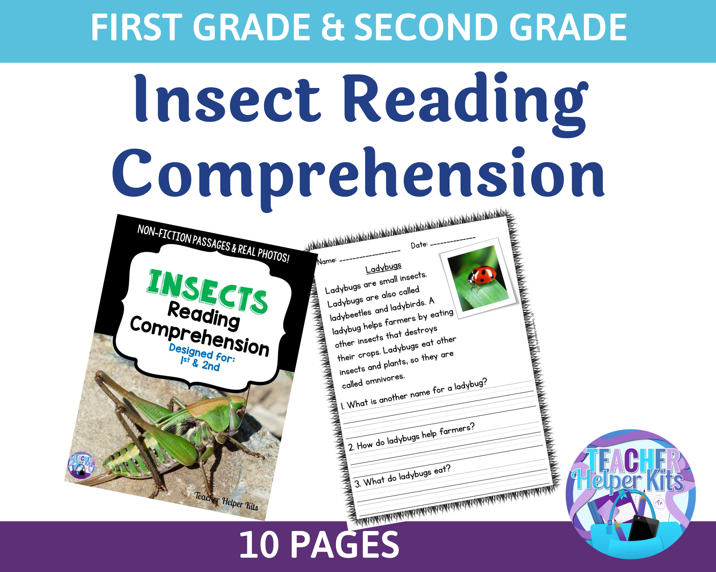 10 First Grade At Home Reading Worksheets First Grade | Etsy