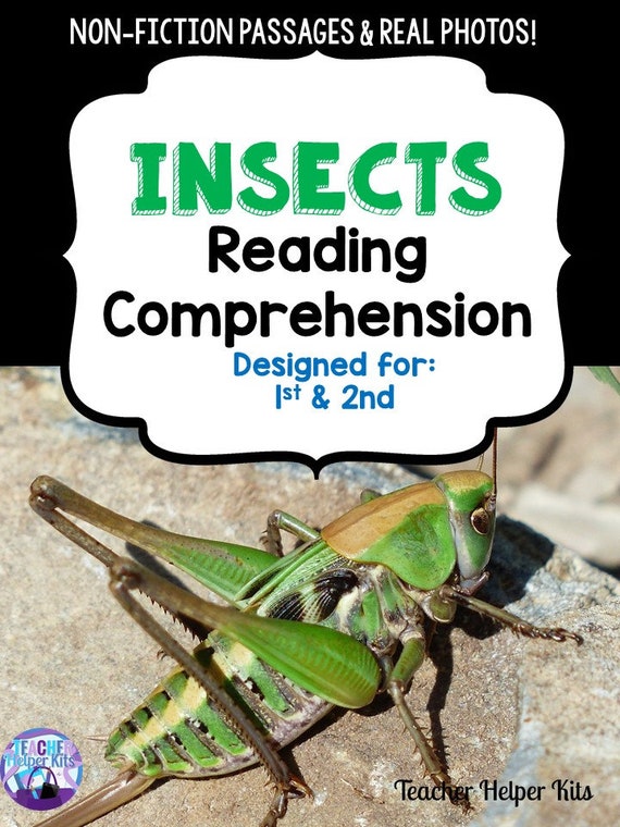 Hoja De Trabajo De Lectura Para Primer Grado 80 Ejercicios De