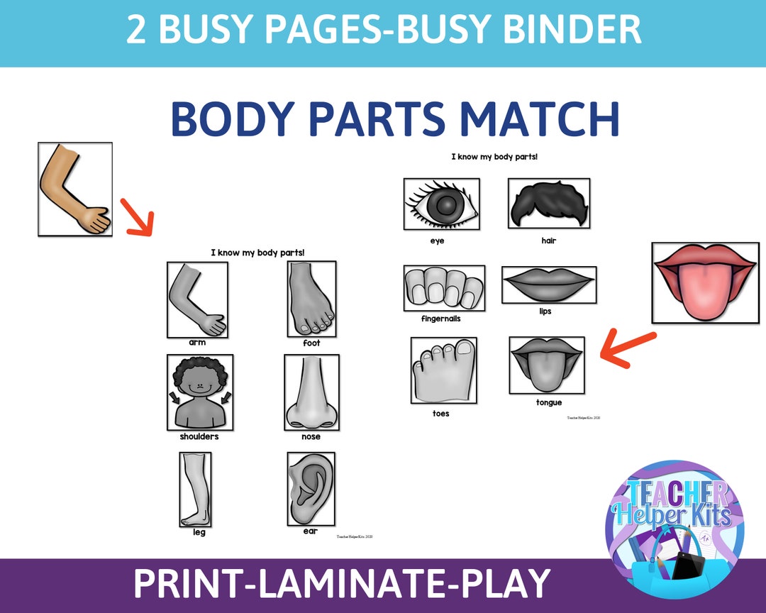 Match the Body Parts Worksheet, Matching Game, Educational Preschool ...