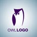 Instant Download Owl Logo Icon Mark Set 1 - Etsy