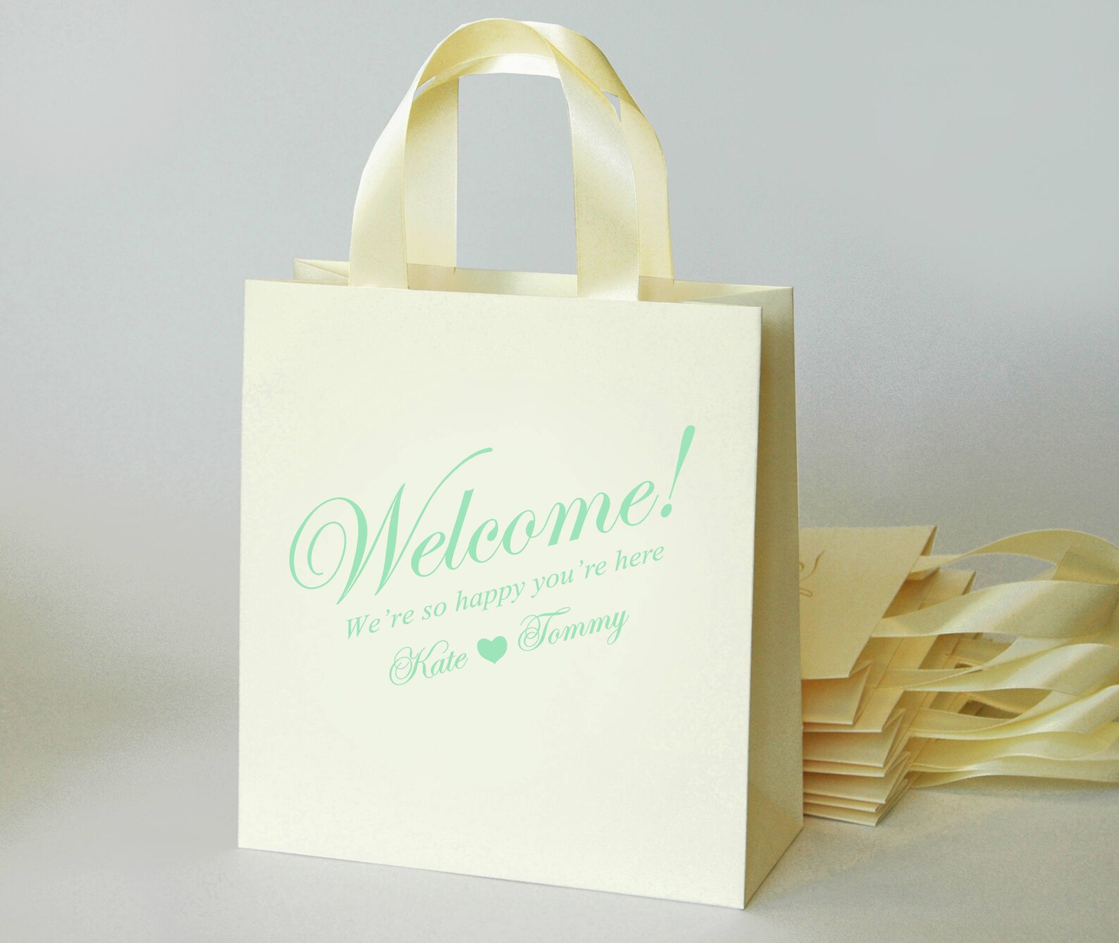 30 Wedding Welcome Bags for Guests With Satin Ribbon Handles | Etsy