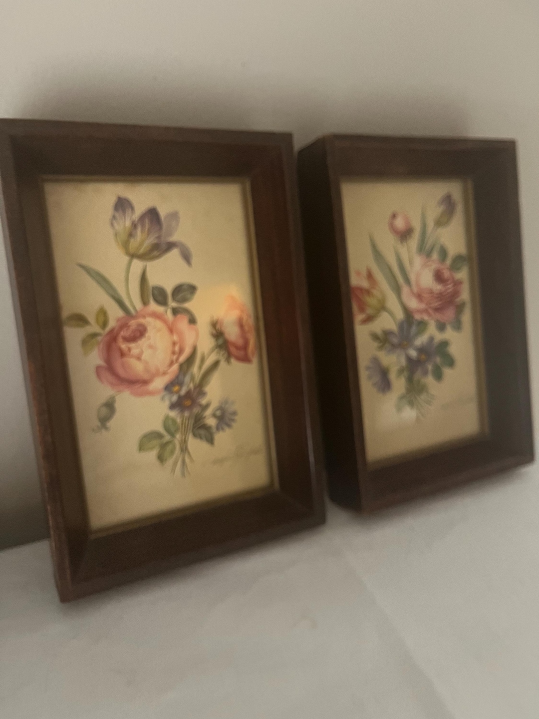 Pair of Vintage Italian Botanical Rose Lithographs Rare 1950s Petite ...