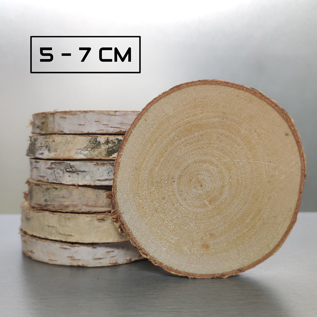 Birch Wood Slice With Bark Natural Wooden Rustic Disc, Unfinished ...