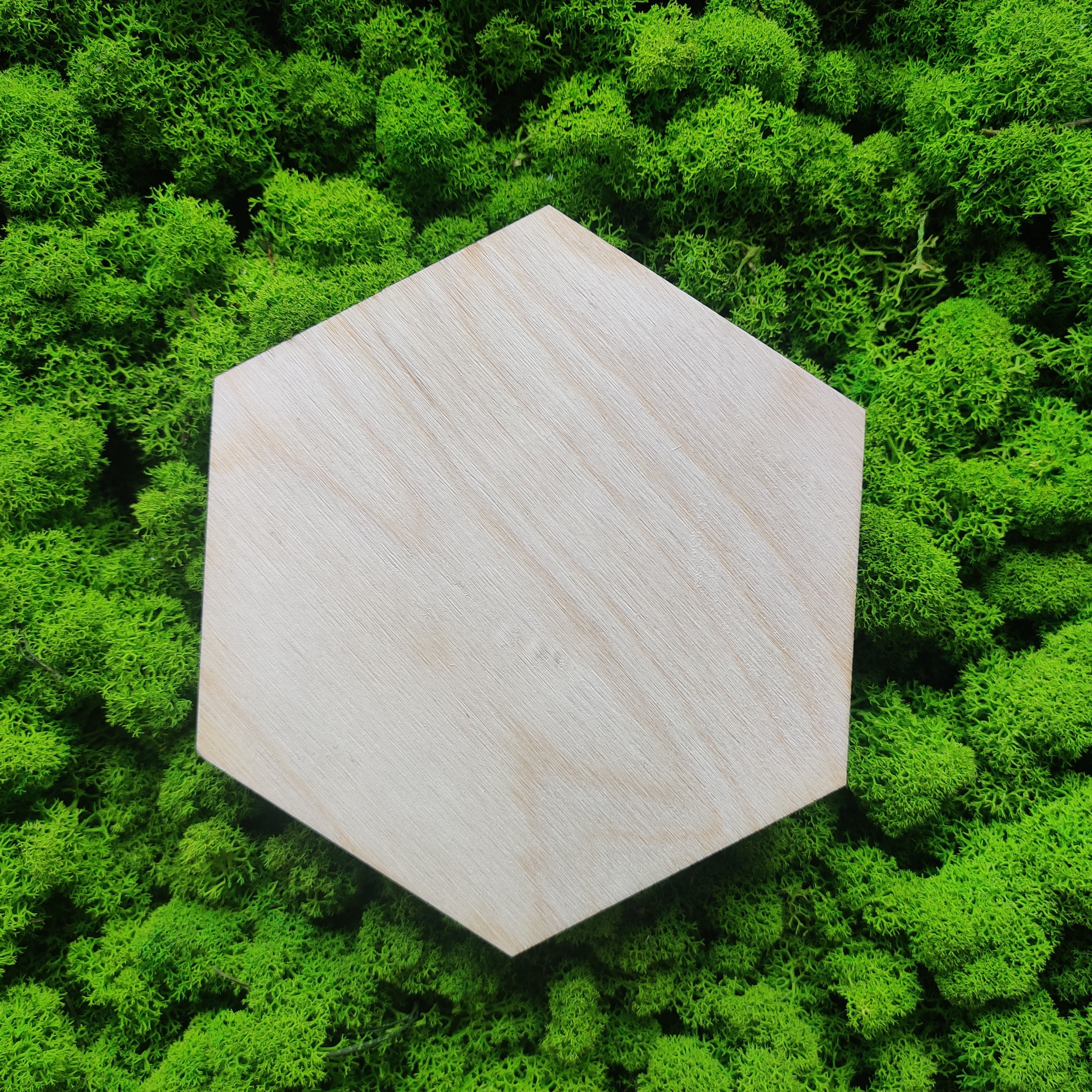 Wood Hexagon Cutout Blank for DIY Craft, Wooden Hexagonal Shape ...