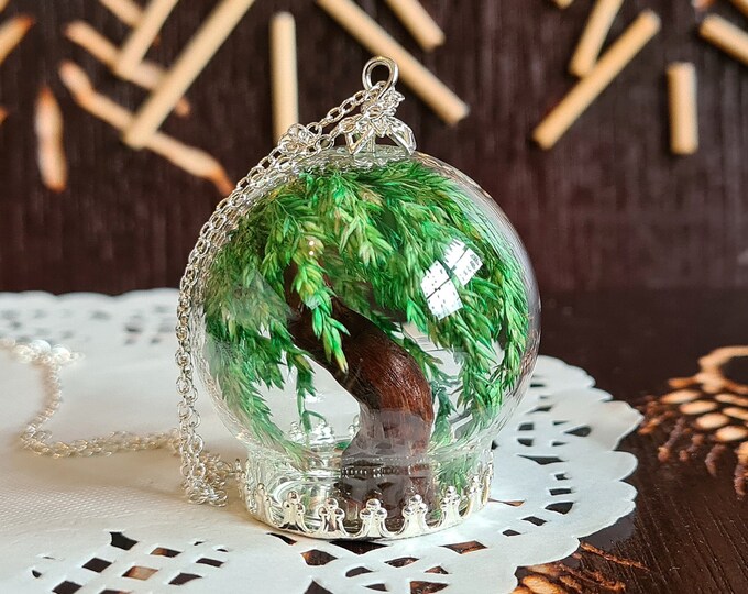Weeping Willow Tree Terrarium Pendant/ Miniature Weeping Willow Tree ...
