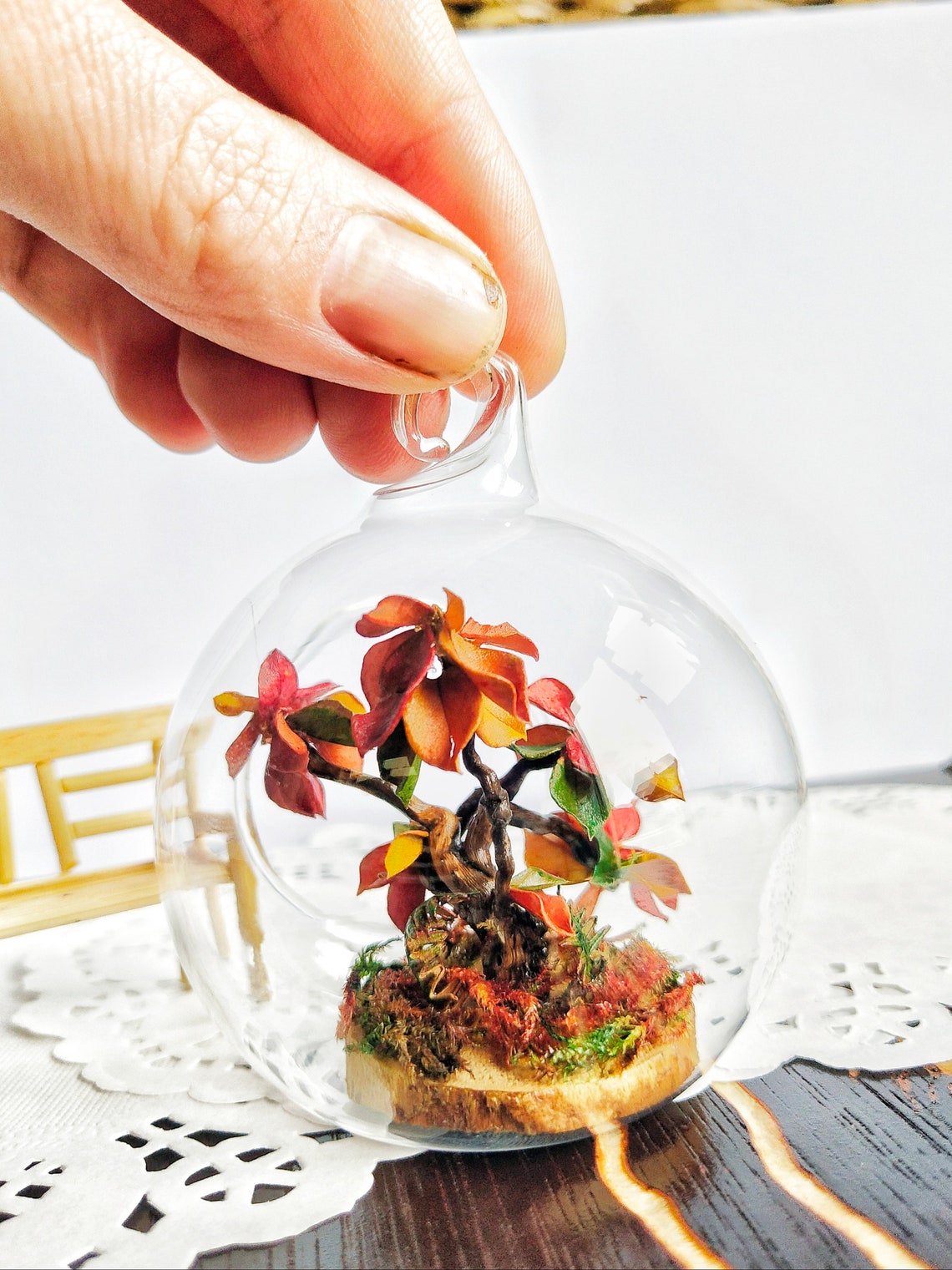 Miniature Autumn Leaves Oak Tree Glass Globe Terrarium Decor - Etsy