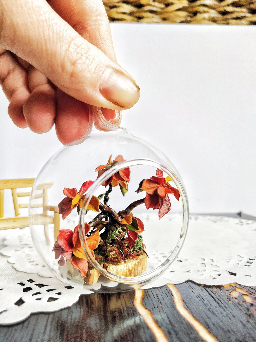 Miniature Autumn Leaves Oak Tree Glass Globe Terrarium Decor Natural ...